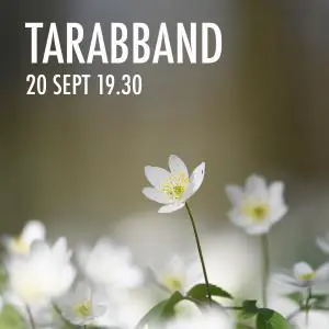 Julius Biljettservice